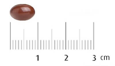 A.Vogel Prostaforce capsules | 30 en 90 stuks | avogel.nl