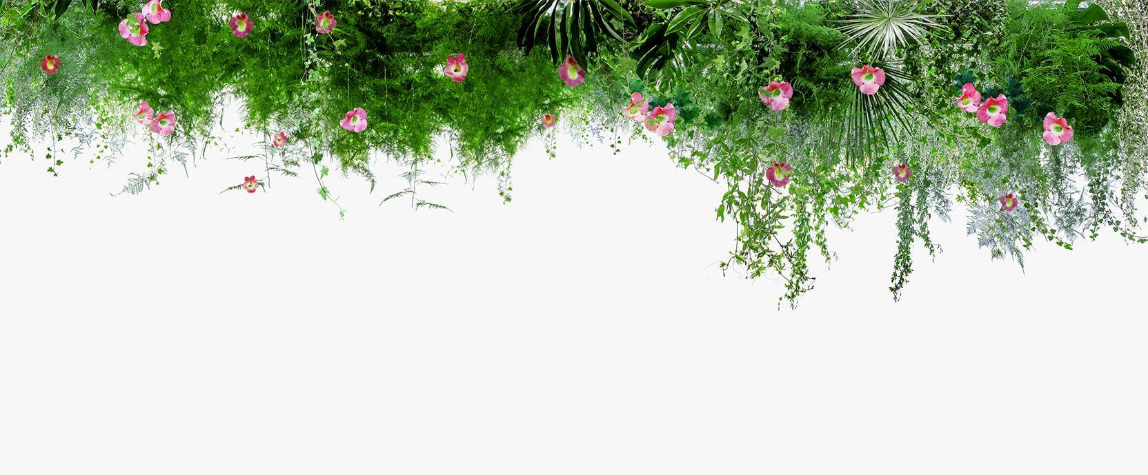 A.Vogel Atrosan tabletten | 60 en 120 stuks | avogel.nl