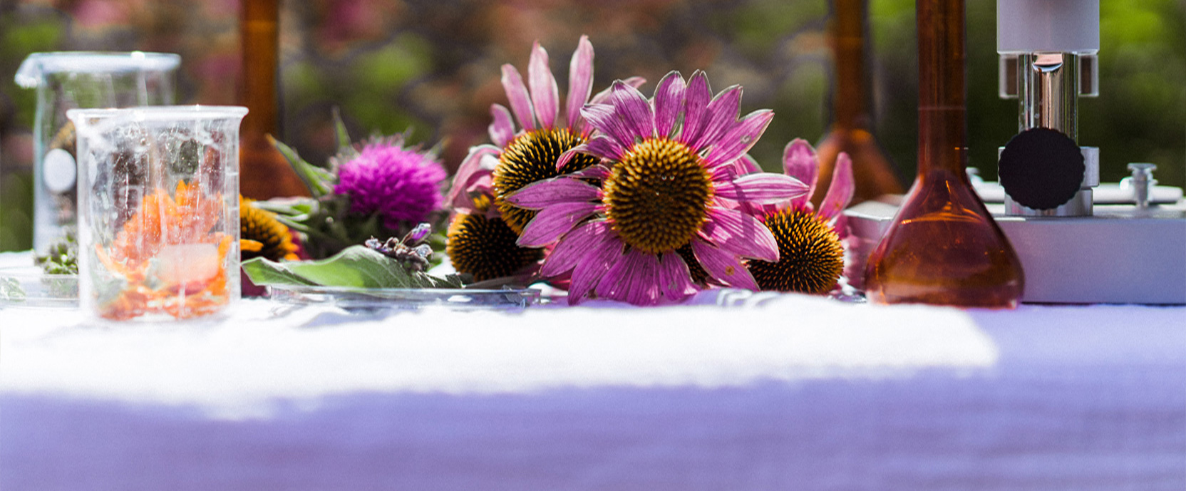 Snotneus? 8 tips bij verkoudheid met een verstopte neus | A.Vogel